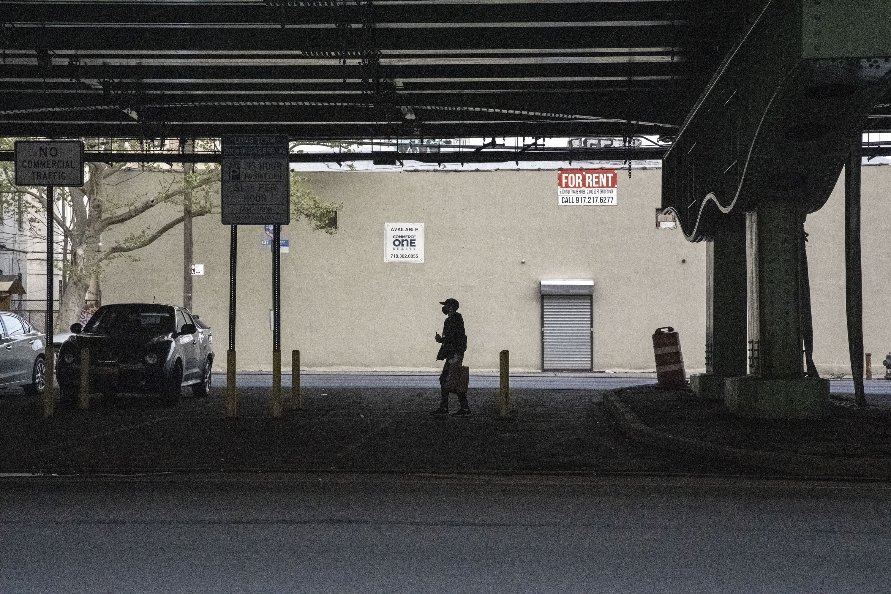 The pigeon rescuer of the Gowanus Expressway